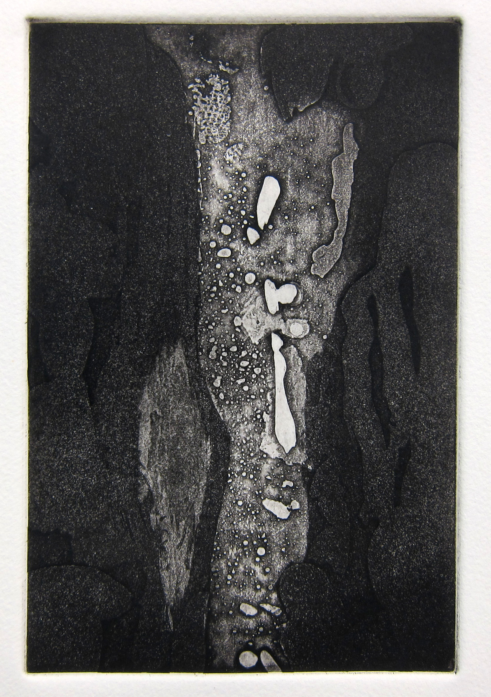 Penny Cerling: Works in the AP/RC by a Master Intaglio Printer | Artist ...