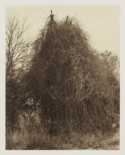 New AP/RC Artist: Kent Rush | Artist Printmaker/Photographer Research ...