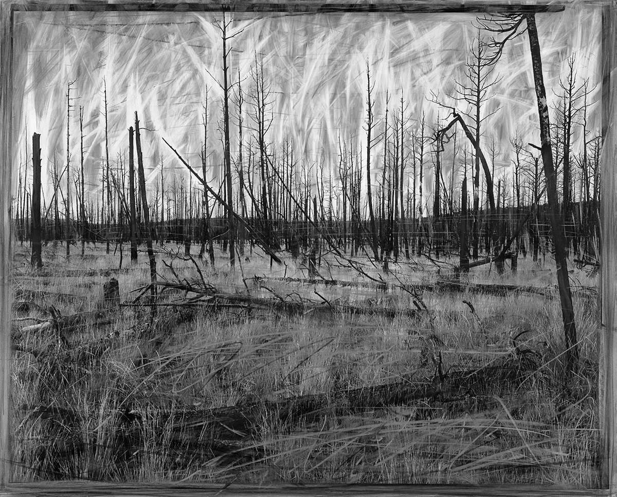 Monograph on Rick Dingus’ Photographs | Artist Printmaker/Photographer ...