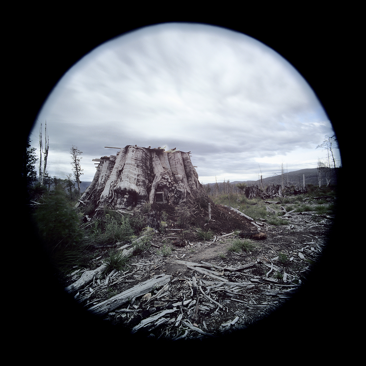 Monograph on Rick Dingus’ Photographs | Artist Printmaker/Photographer ...